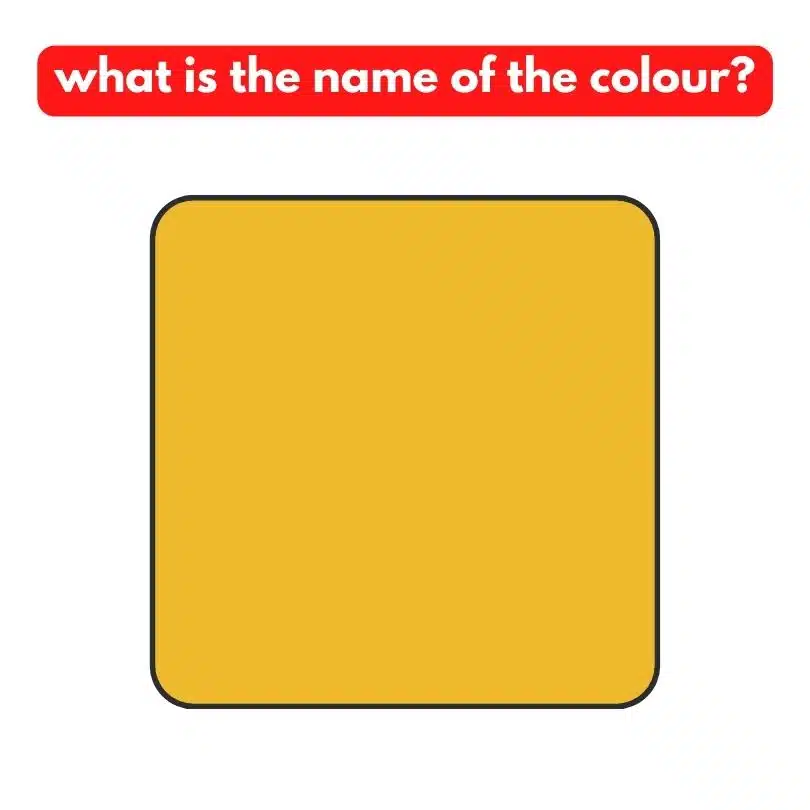 Colour Quiz: Identify The Colours Trivia Kindergarten MCQ’s Quiz