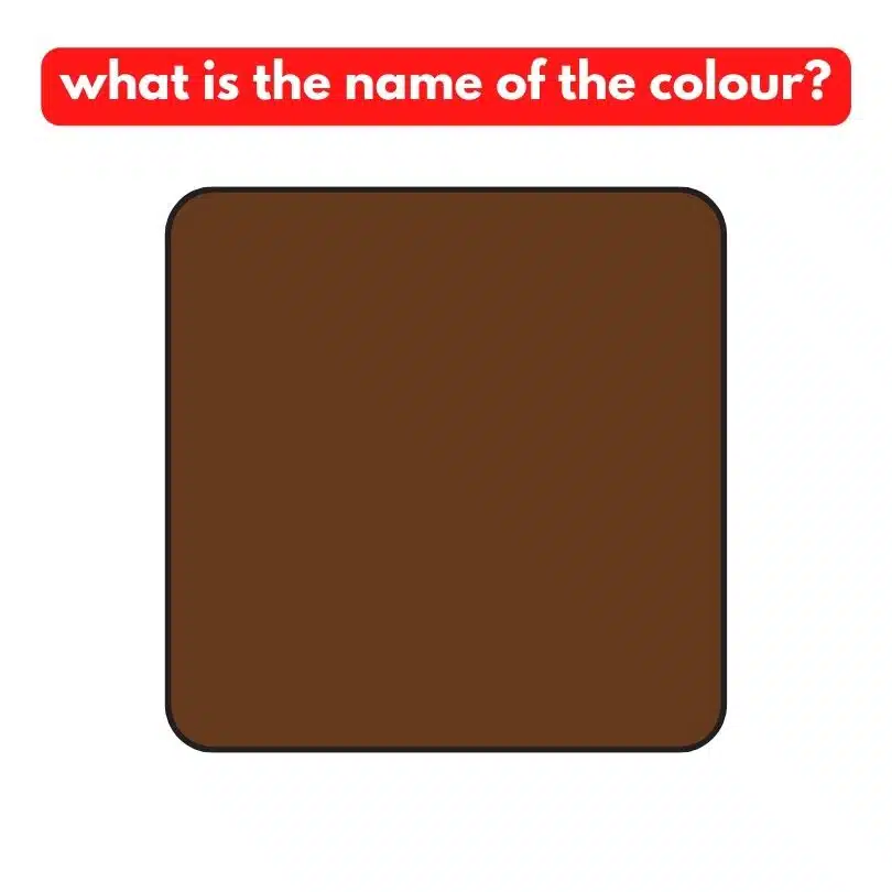 Colour Quiz: Identify The Colours Trivia Kindergarten MCQ’s Quiz